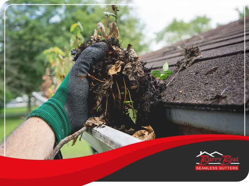 Could Gutters Be a Breeding Ground for Legionnaires' Disease?
