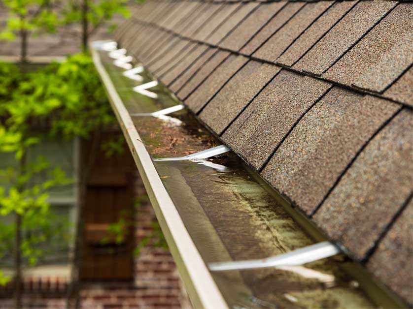 What Causes Dirt to Accumulate in Your Gutters?