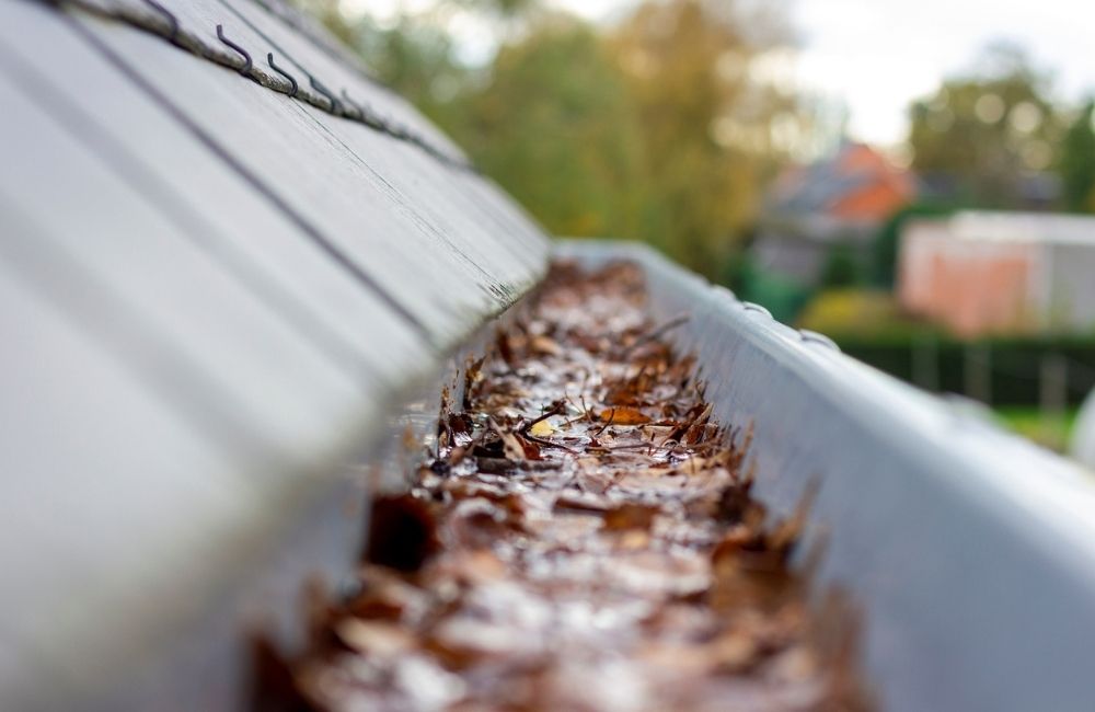 Recognizing the Signs of Clogged Gutters